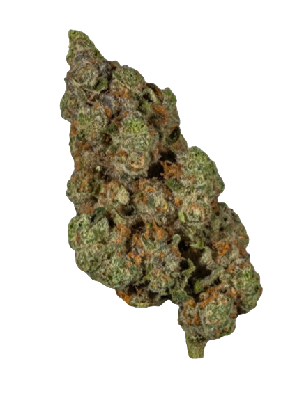 SIMPLER DAZE - Small Buds | Jet Fuel x GMO