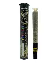 CAVIAR GOLD - Caviar Gold | CAVI LAND (S/H) | 1.5G INFUSED PREROLL