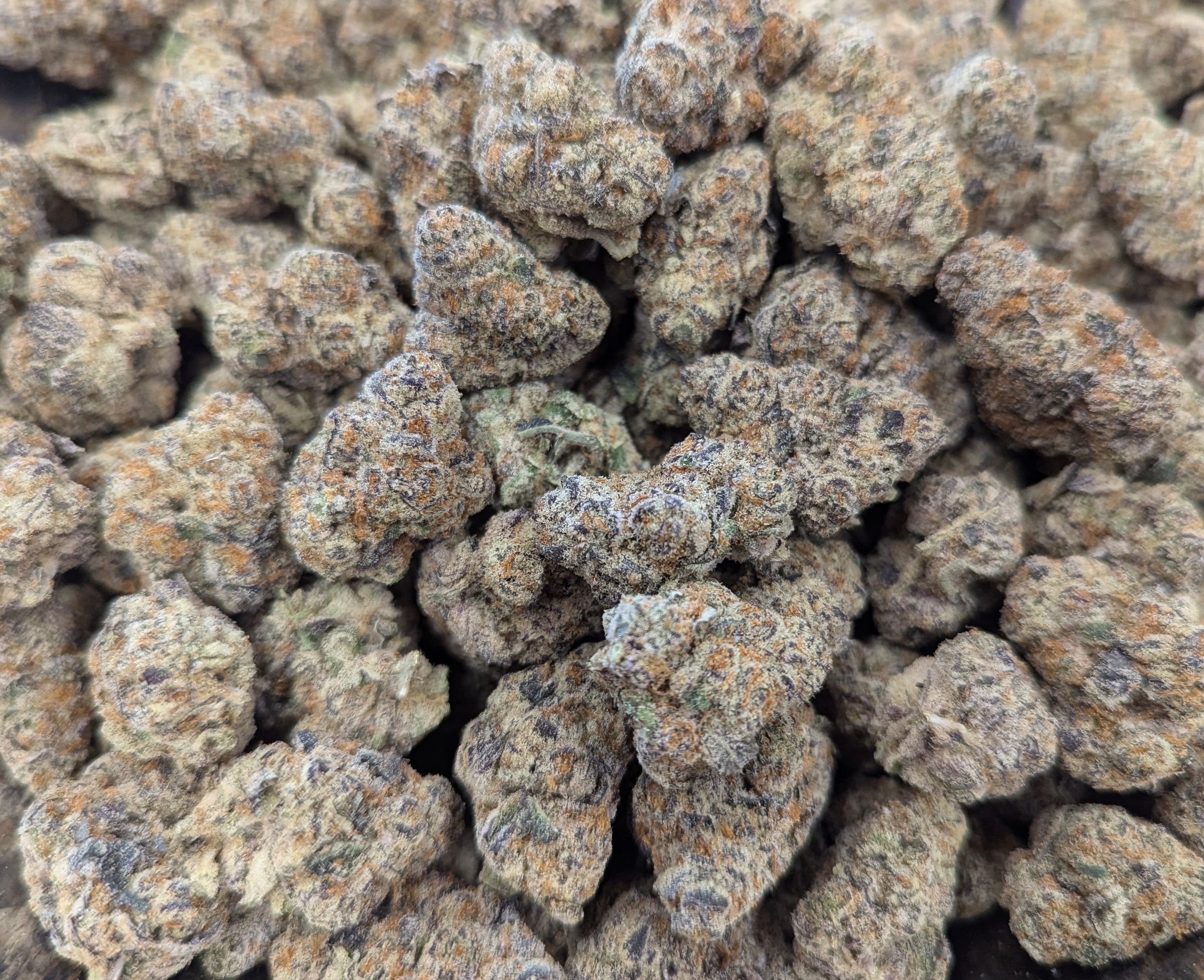 UNIQ PRESSURE - FORMULA 1 | 3.5G PRE-PACK | UNIQ PRESSURE