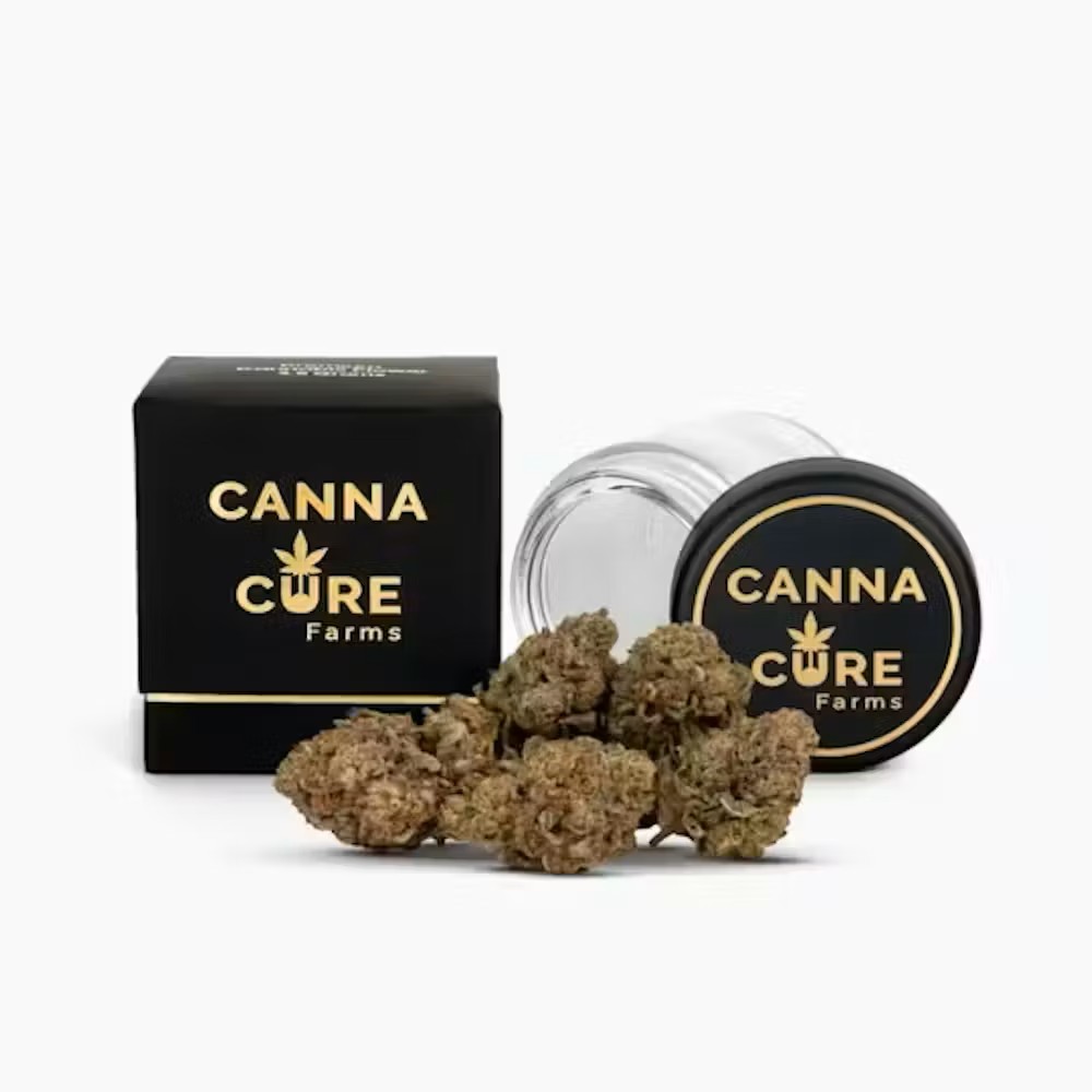 Shop CANNA CURE | JACK HERER by CANNA CURE | Le Flora Dispensary ...