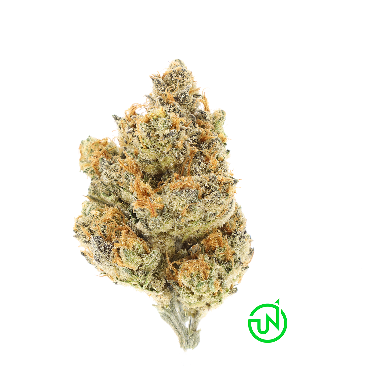 UPNORTH - THC BOMB - EIGHTH