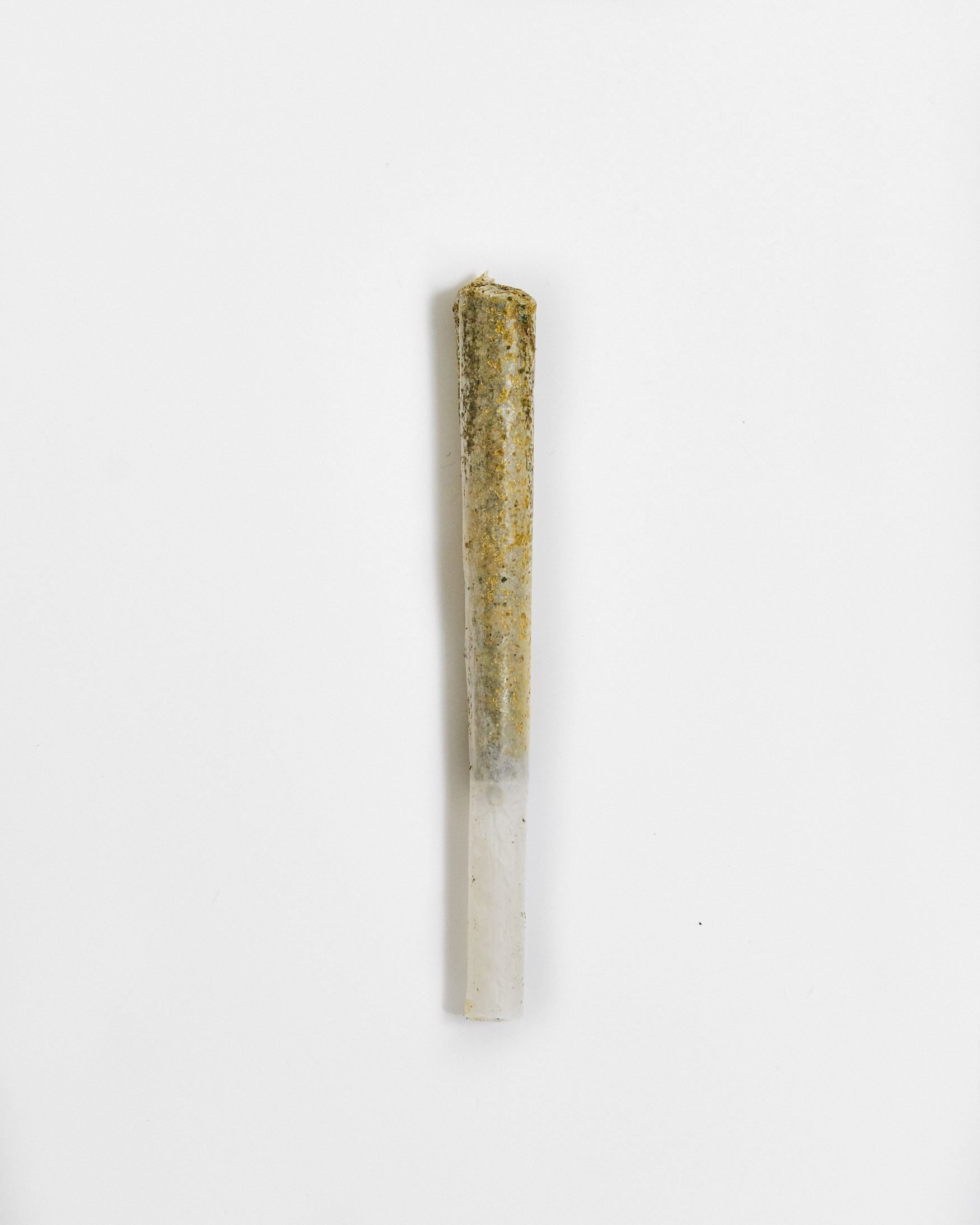 LOBO - BLUE DREAM FUERTE INFUSED PREROLL - SINGLE