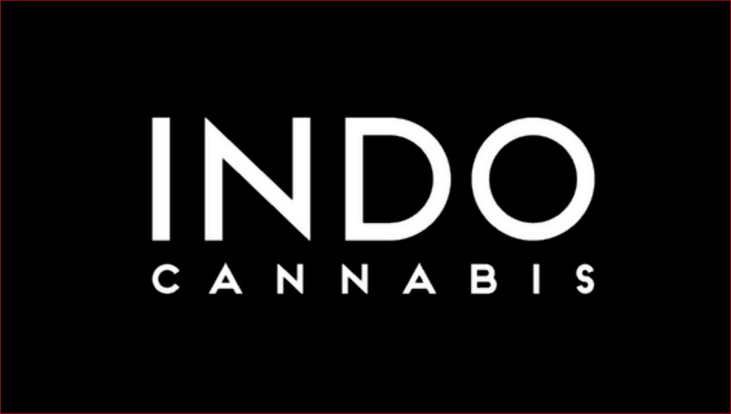 IndoTabs MAXTABS Tablet 100mg 10pk – Premium Cannabis Products Near Me