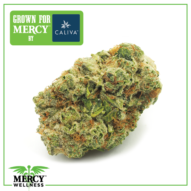MERCY WELLNESS - ALIEN OG 1/8 3.5G