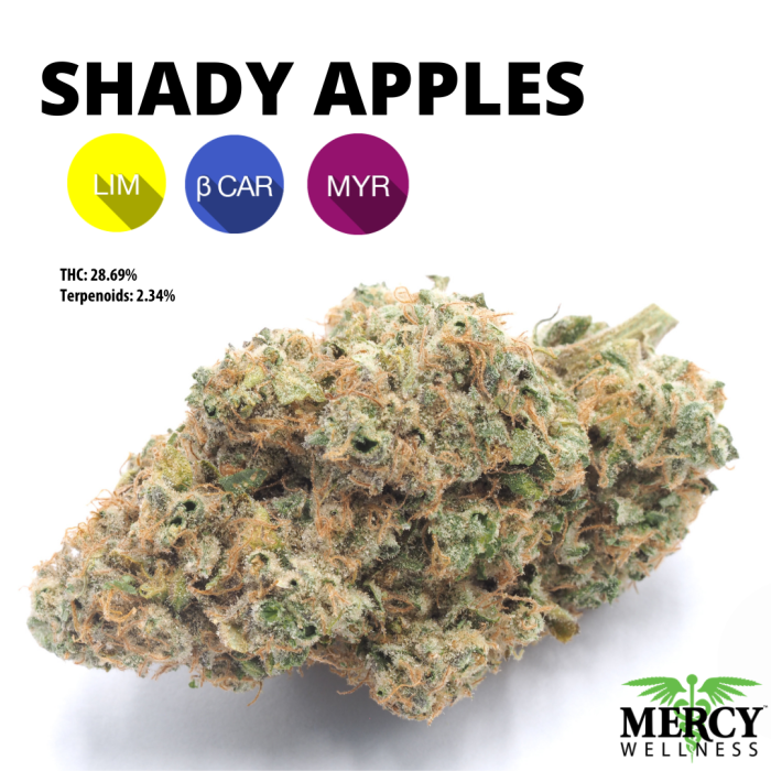 MERCY WELLNESS - SHADY APPLES SMALLS 1/4 7G