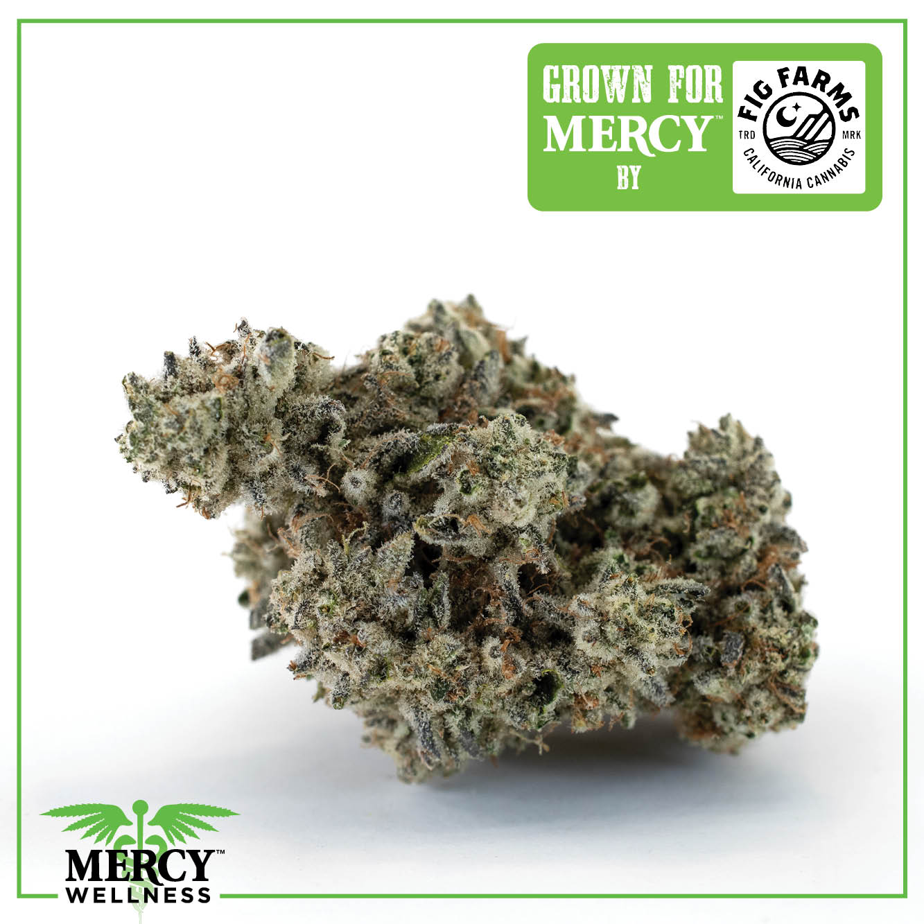 MERCY WELLNESS - IVORY SMALLS 1/8 3.5G