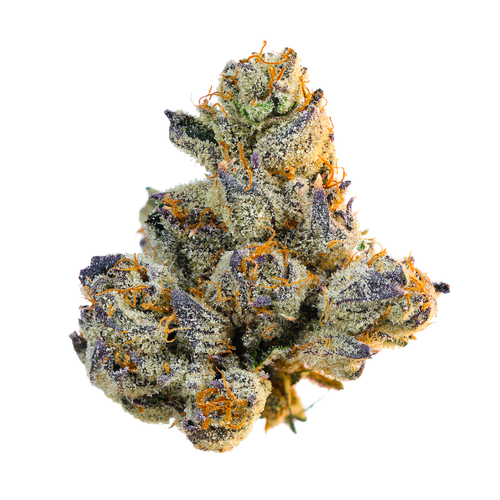 Shop GWAVA in Los Angeles | CORNERSTONE