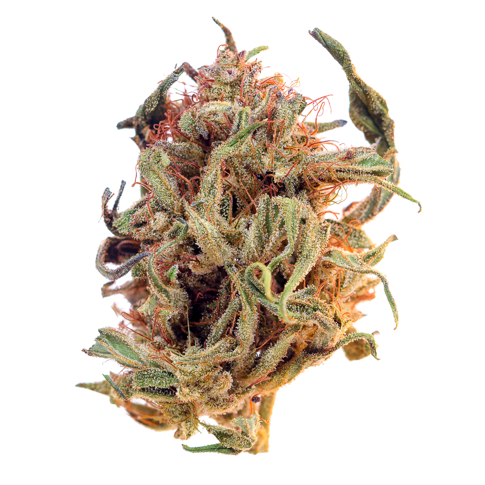 Shop FOUR DIRECTIONS in Los Angeles | CORNERSTONE