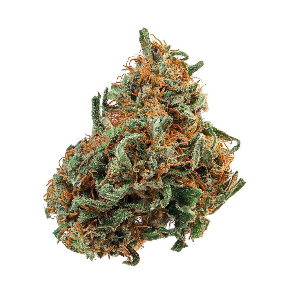 Shop TRILOGY in Los Angeles | CORNERSTONE