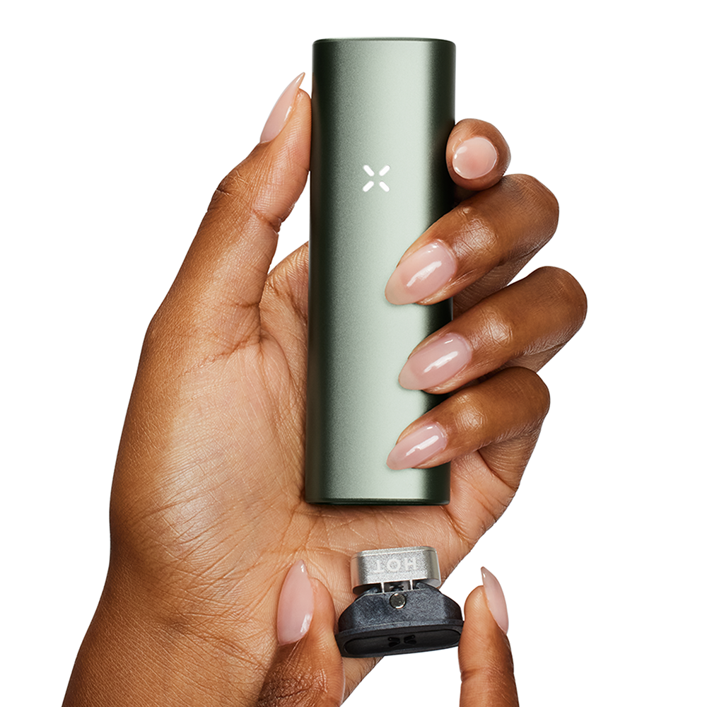 Shop PAX PLUS SAGE - One Size in Los Angeles | CORNERSTONE