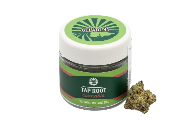 TAP ROOT - Tap Root | Flower | Gelato 41 | 3.5g - 3.5 g