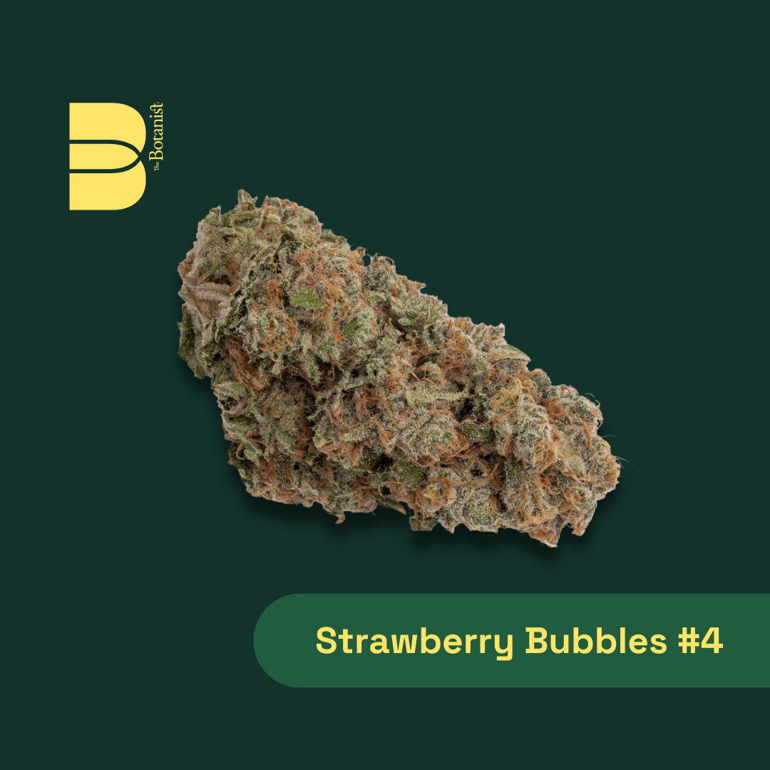 Strawberry Bubbles #4 – Premium Cannabis Products Near Me