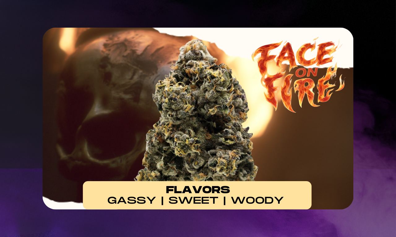FACE ON FIRE - FLOWER - 3.5G – Premium Cannabis Products Near Me