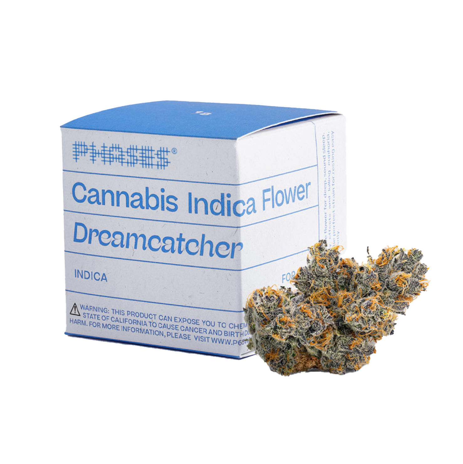 PHASES - Snoozeberry
