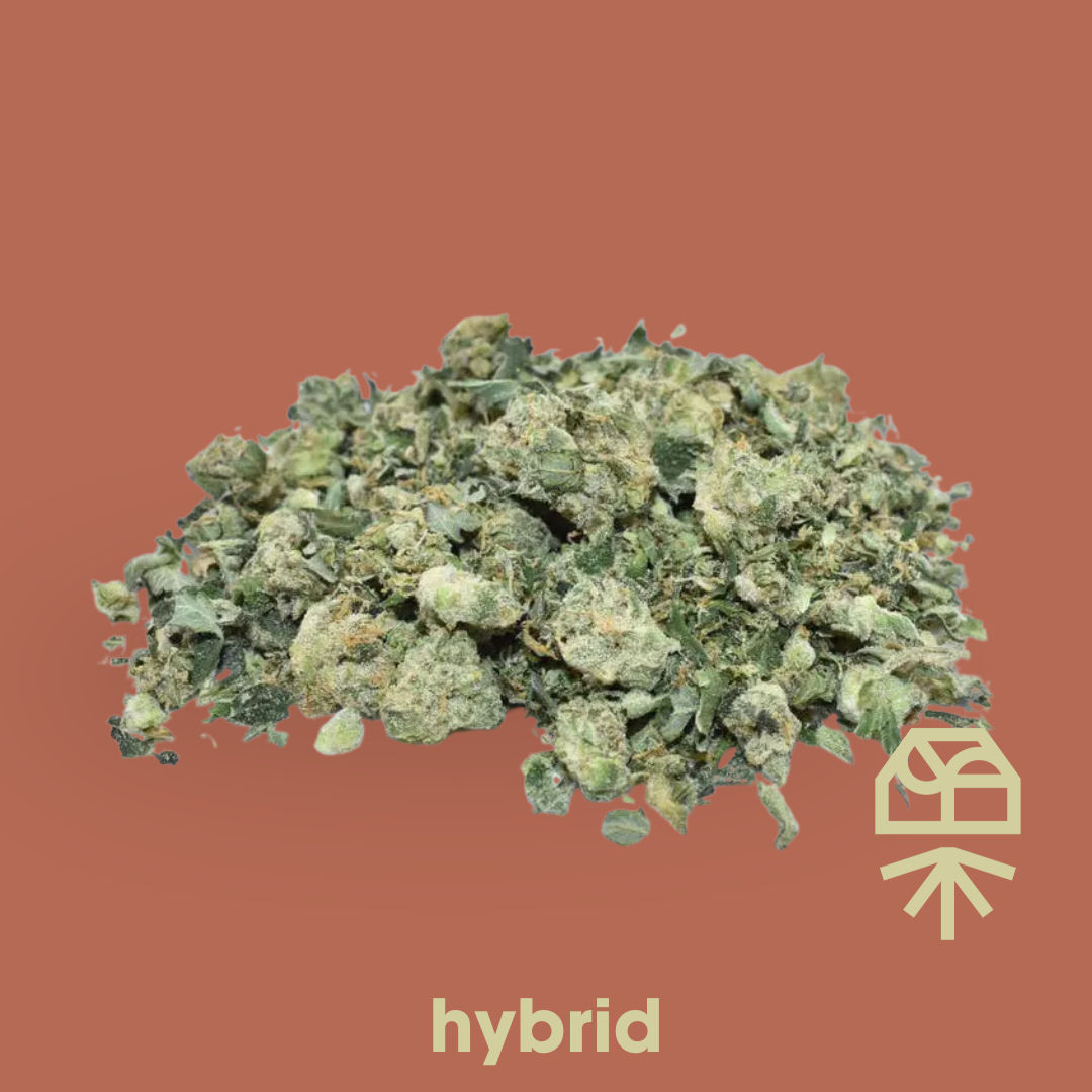 GRASSROOTS - Cheddar Cheese - Shake - 14G