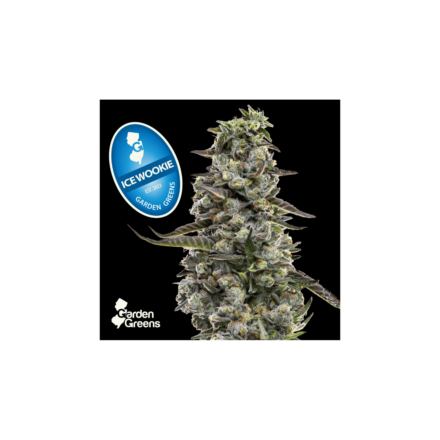 GARDEN GREENS - ICE WOOKIE FLOWER 3.5G