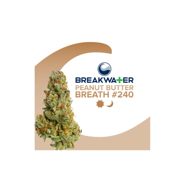 BREAKWATER - PEANUT BUTTER BREATH #240 FLOWER 7G