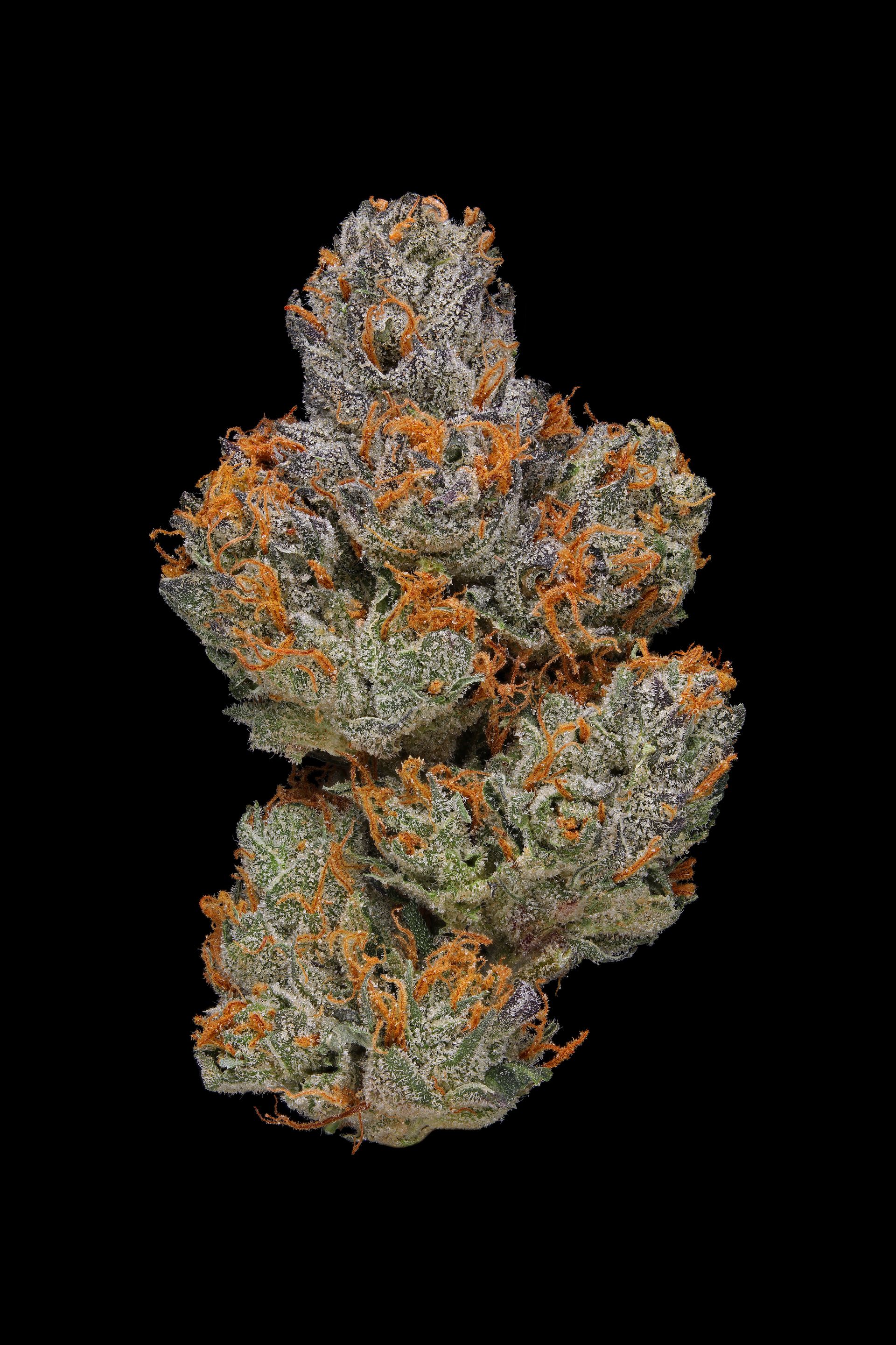 CLADE9 - LA PIFF | FLOWER