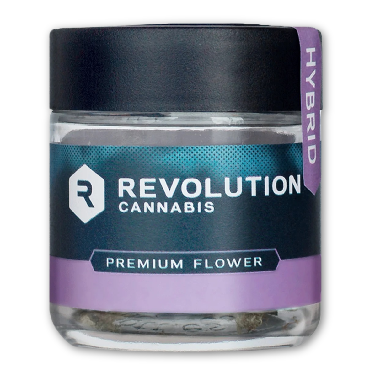 REVOLUTION - LEMON PUNK | 7G