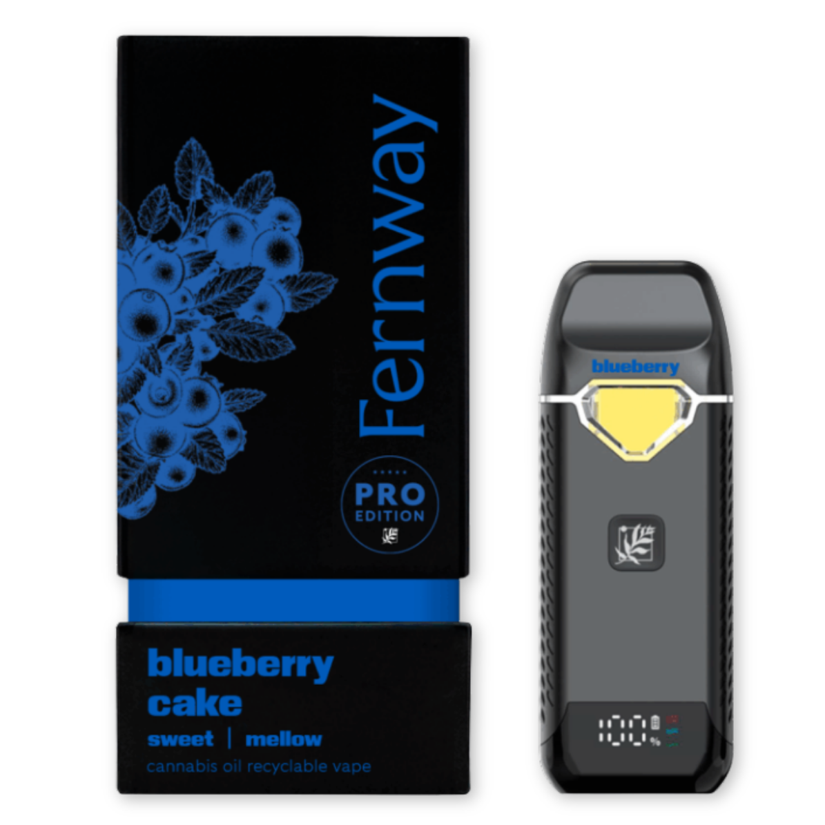 FERNWAY - DISPOSABLE | BLUEBERRY CAKE | 2G