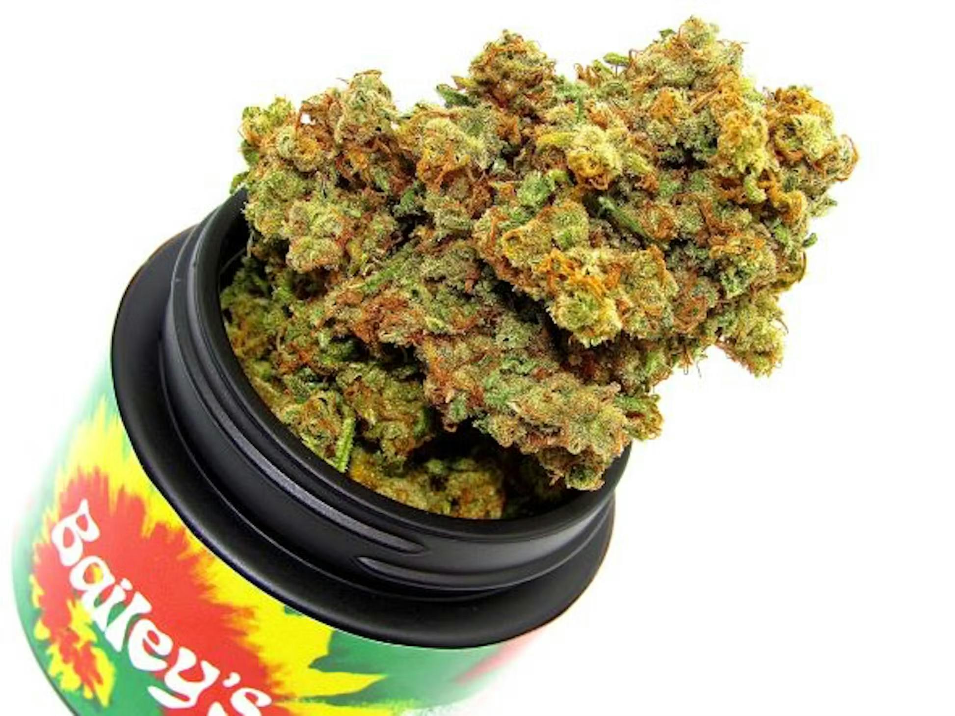 BAILEY'S BUDS - BLUE DREAM SOUR JACK | 3.5G