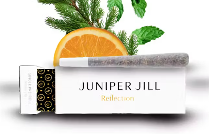 JUNIPER JILL - PRE-ROLL - HOLY GRAIL