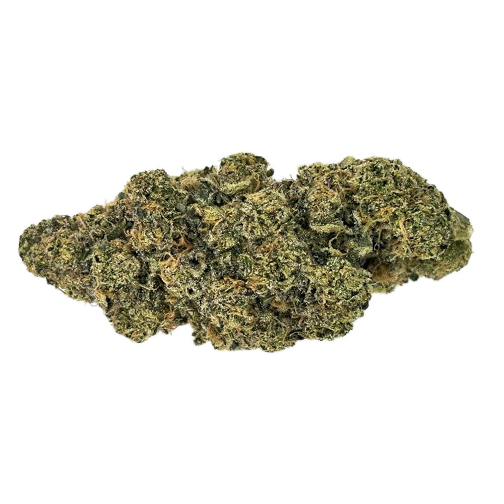 Rythm Flower Black Maple