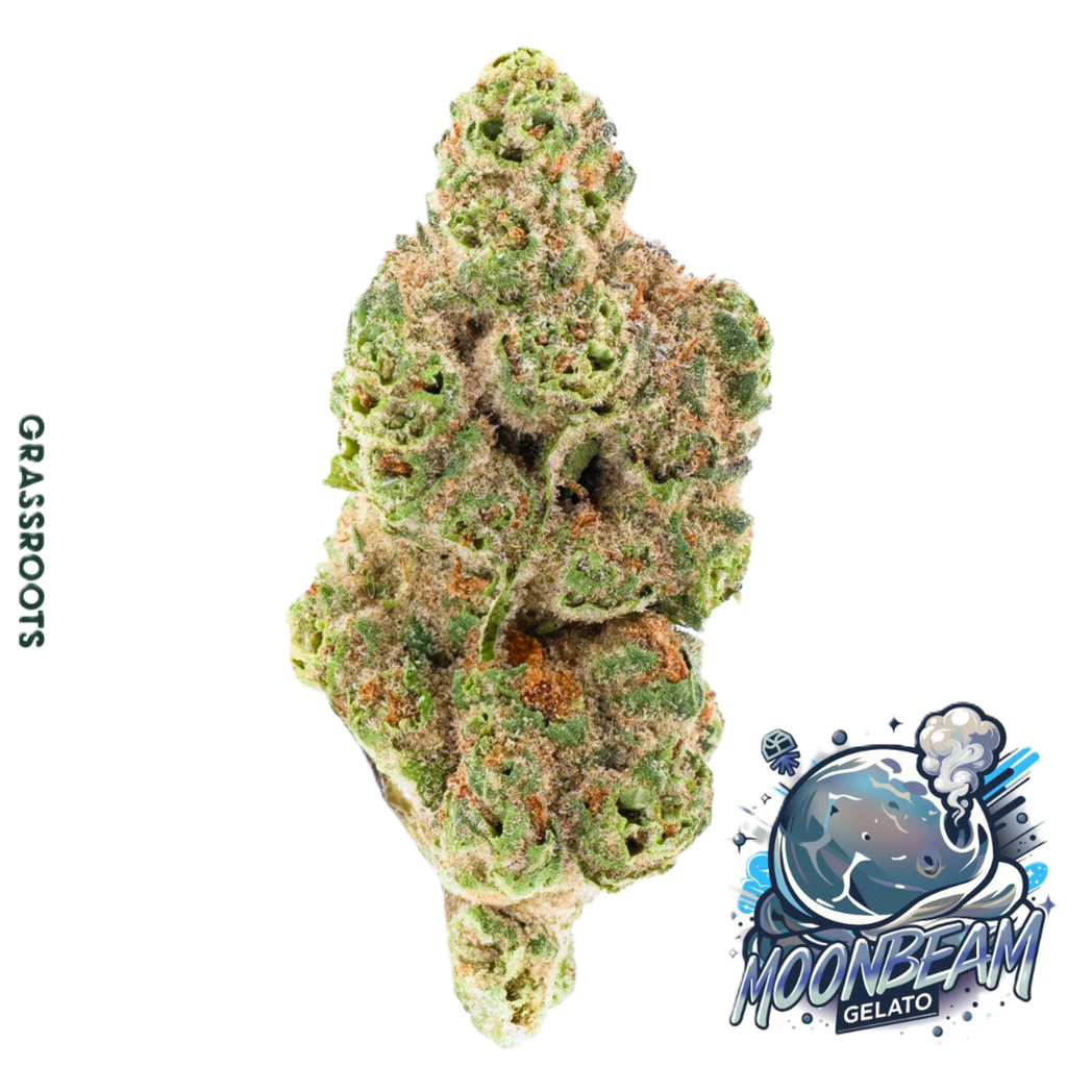 GRASSROOTS - FLOWER - DARK HEART COLLECTION - MOONBEAM GELATO