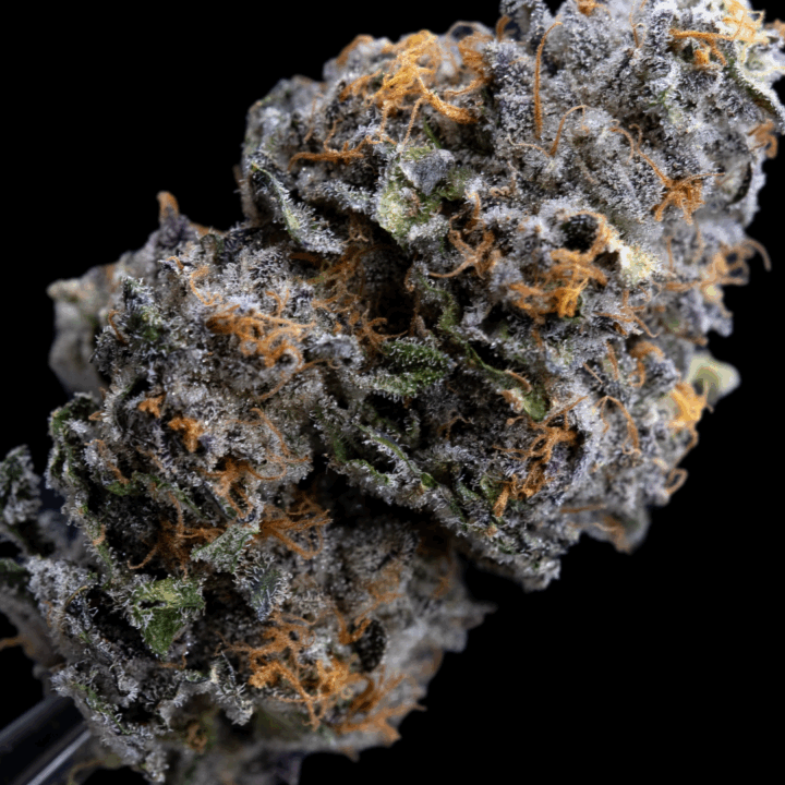 ELECTRALEAF - PRE-ROLL - PERMANENT MARKER | Upper East Side Dispensary ...