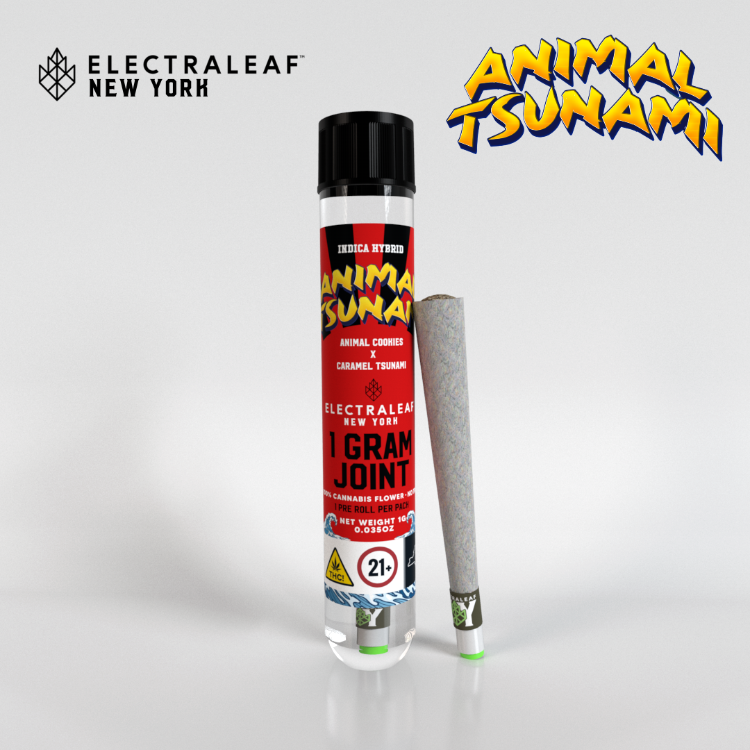 ELECTRALEAF - PRE-ROLL - ANIMAL TSUNAMI