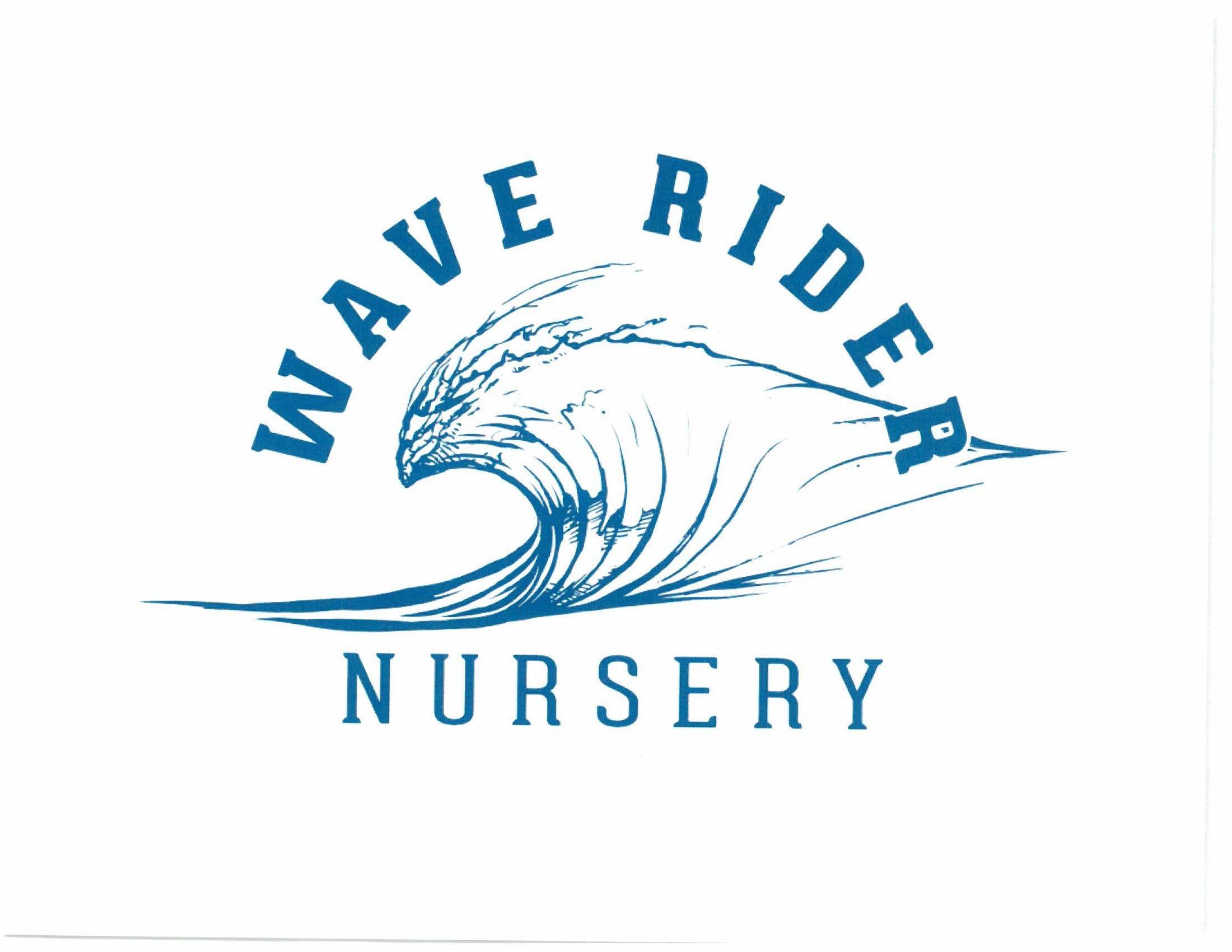 WAVE RIDER - Wave Rider Rosin Infused Pre Roll Blue Dream Sativa
