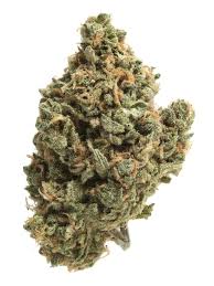 BUD FOX - BUDFOX - ALOHA LIMONE - 4G
