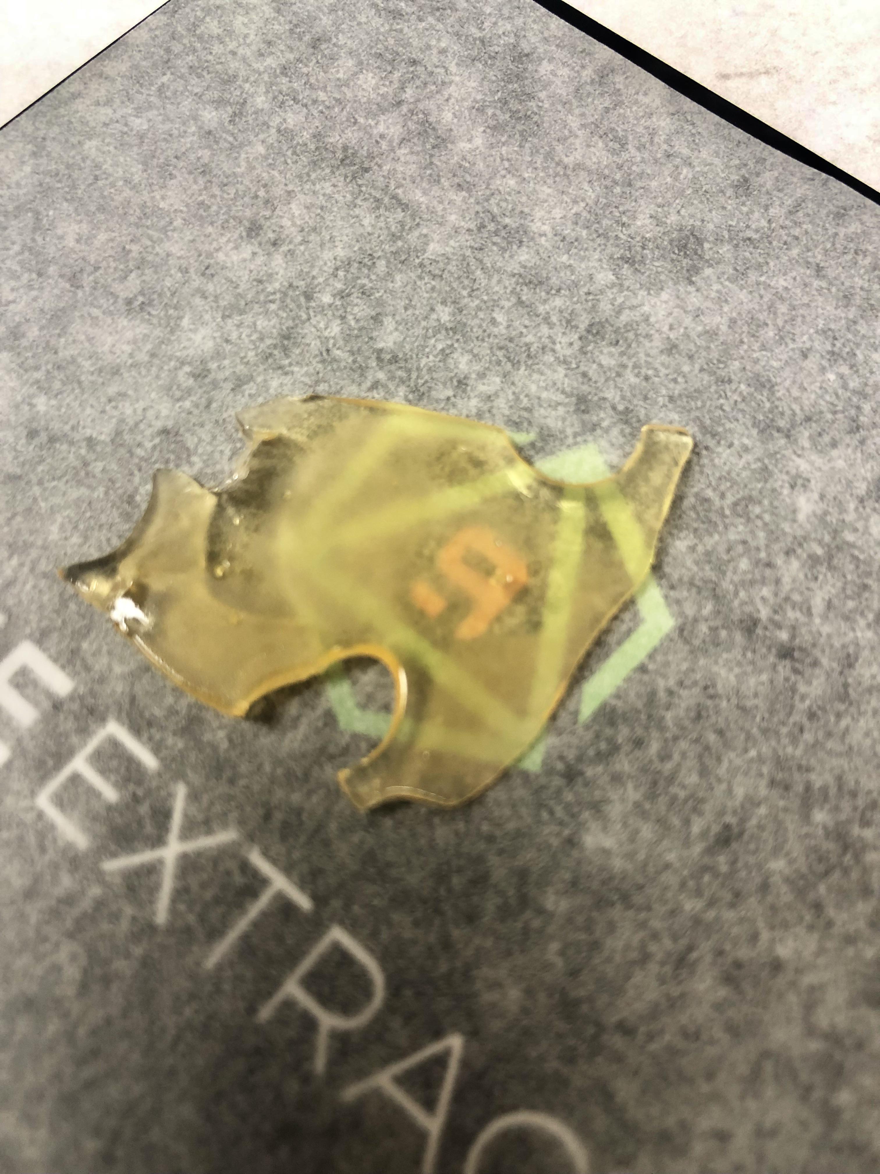 NINE EXTRACTS - (MED) AFGHAN KING - SHATTER