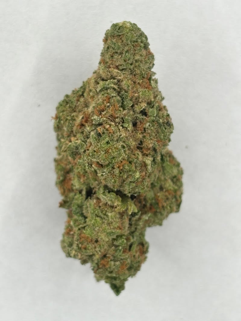 Big Tree | Flower | Jungle Juice | H | 3.5G – Premium Cannabis Products ...