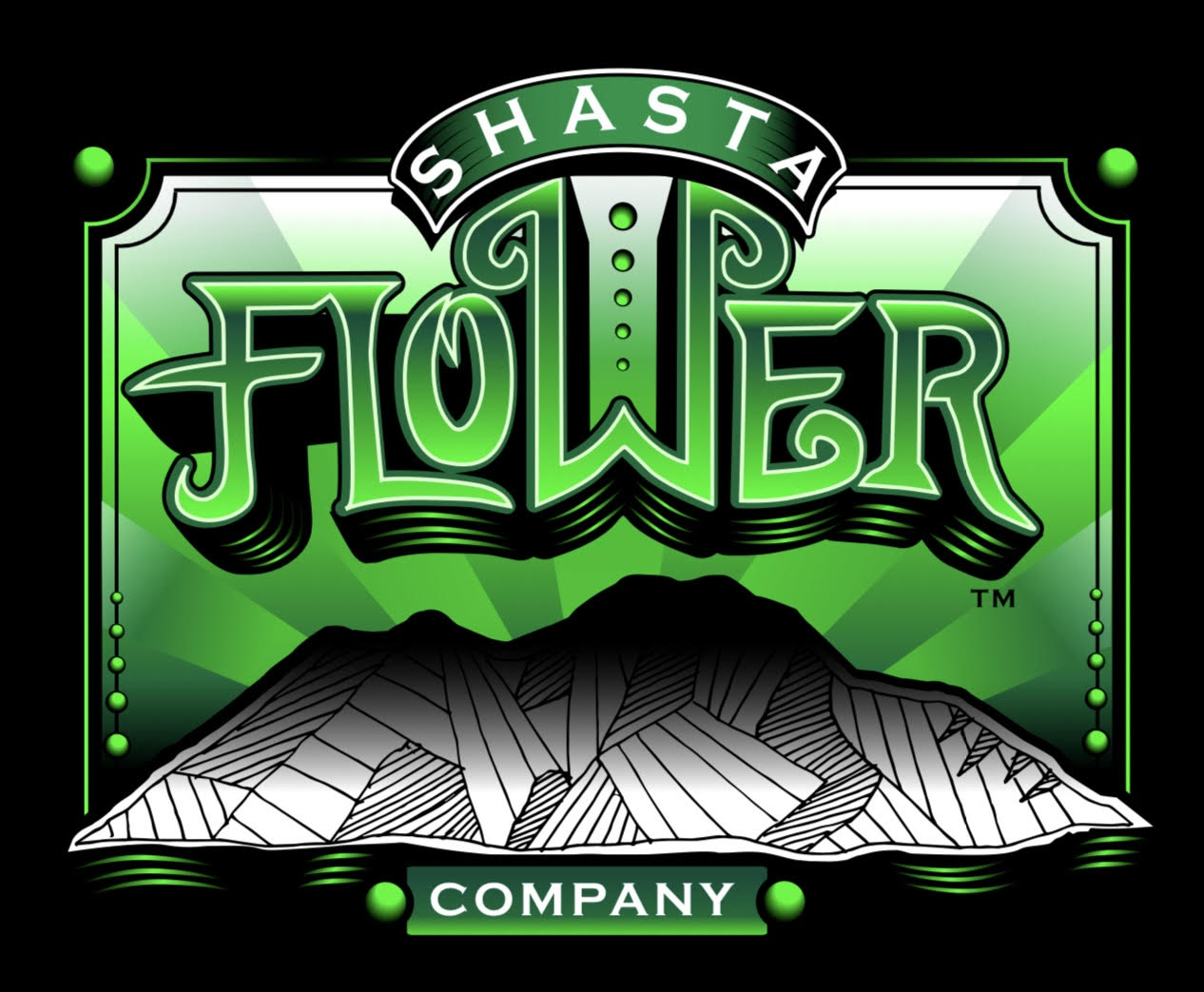 SHASTA FLOWER CO - Pink