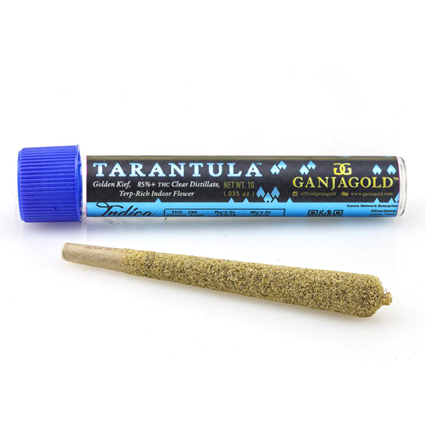 GANJA GOLD - ROOT BEER FLOAT BLUE TARANTULA 1.3G - 1 Pack