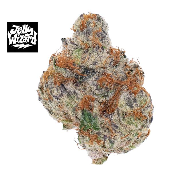 JELLY WIZARD - Ny Cheesecake