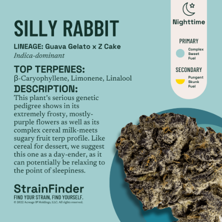 THE BOTANIST - SILLY RABBIT 14G