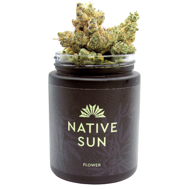 NATIVE SUN - Modified Pineapple