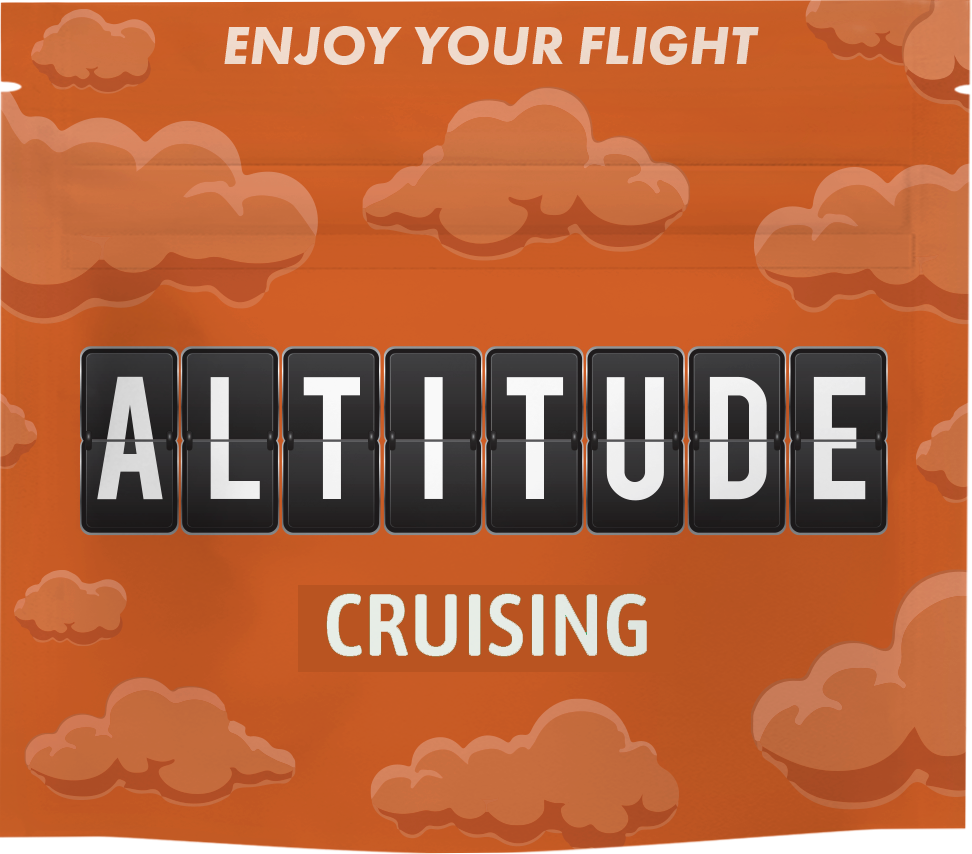 ALTITUDE - DEVI 11 #1