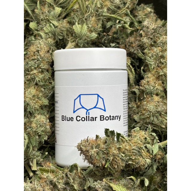 BLUE COLLAR BOTANY - GRAPEFRUIT MAGOO