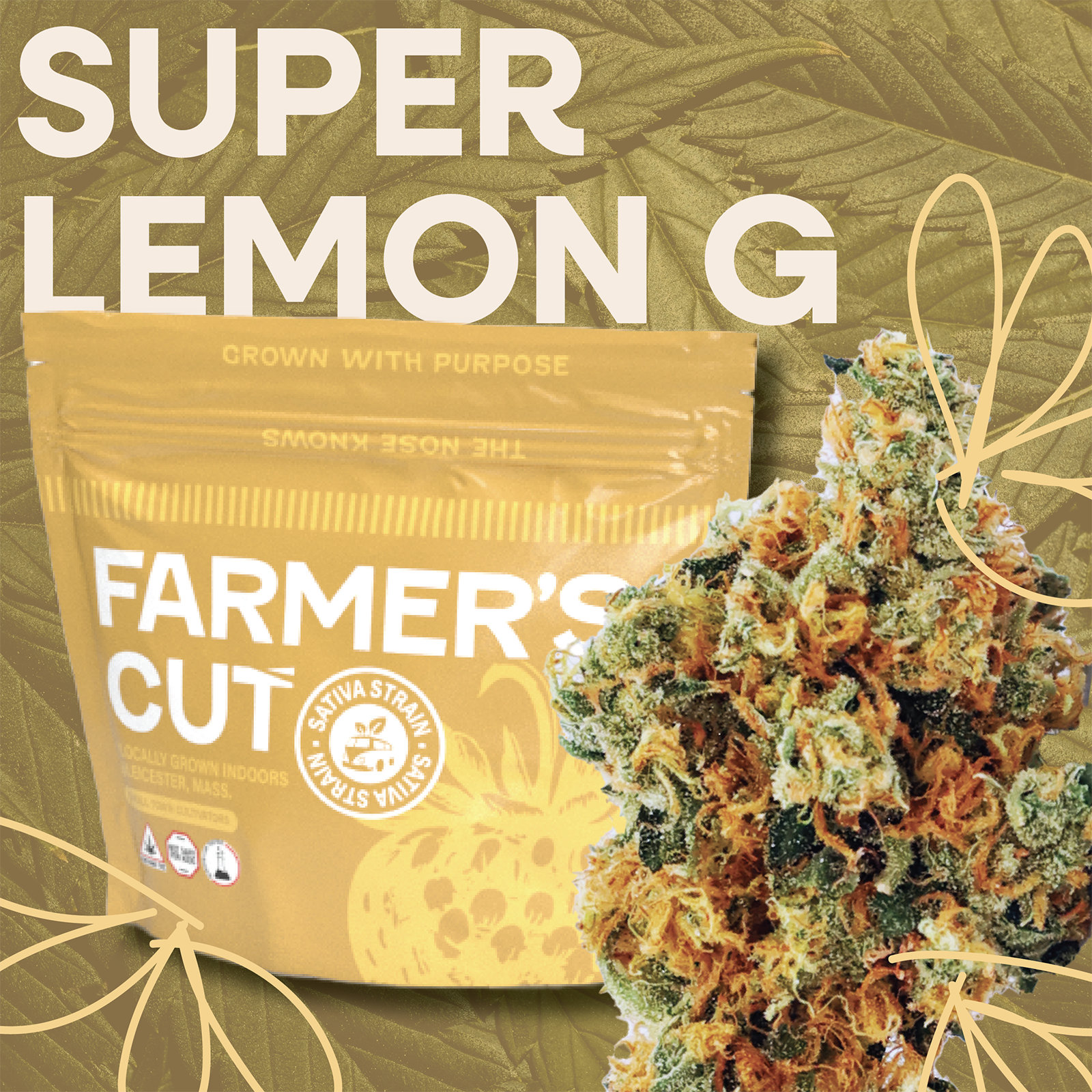 FARMER'S CUT - SUPER LEMON G