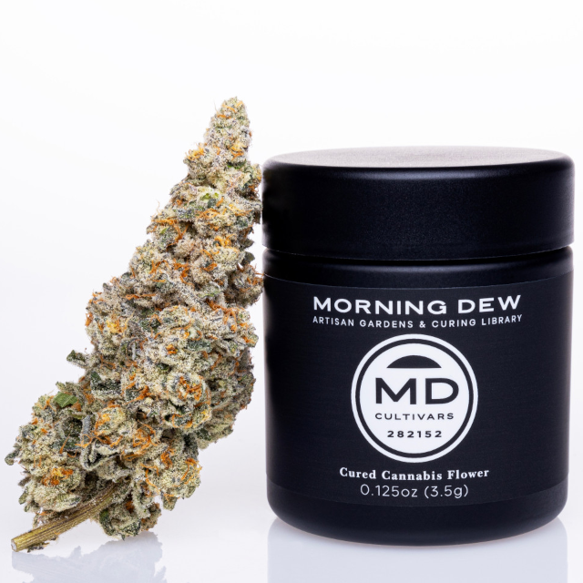 MORNING DEW - CAP JUNKY